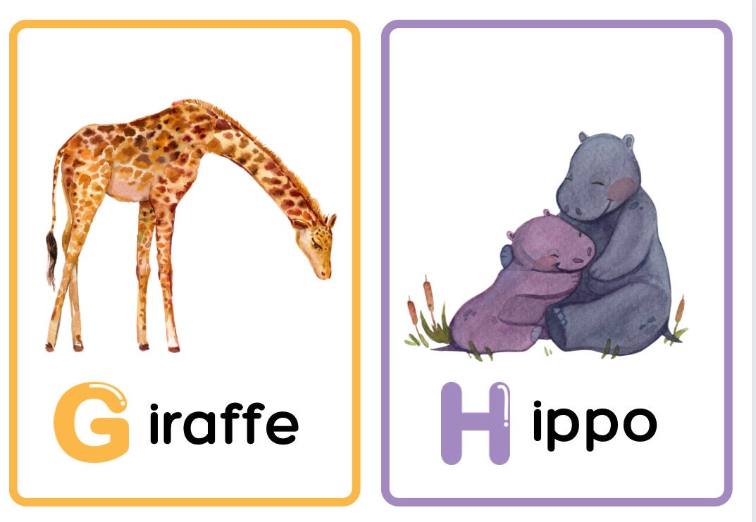 A for Alligator Alphabet Cards for Learning and Classroom Decor ...