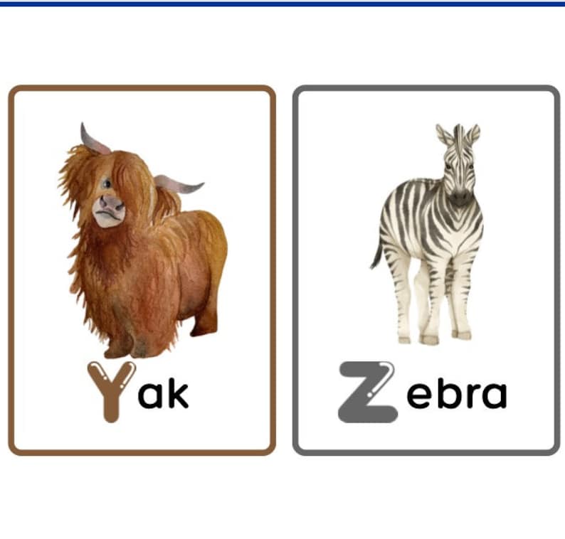 A for Alligator Alphabet Cards for Learning and Classroom Decor ...