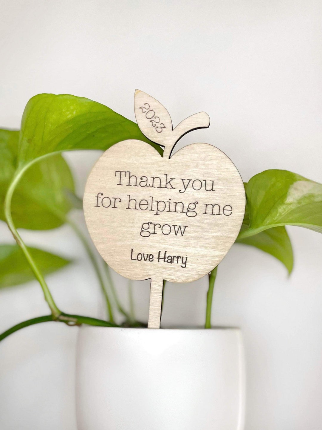 Personalised Teacher Gift Planter Stick - Etsy