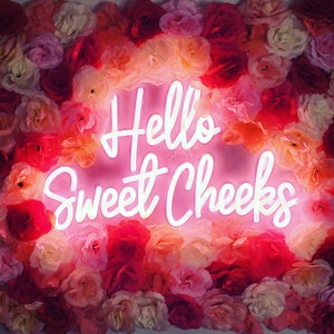 Hello Sweet Cheeks Pink Neon Sign With Flowers - Etsy
