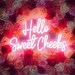 Hello Sweet Cheeks Pink Neon Sign With Flowers - Etsy
