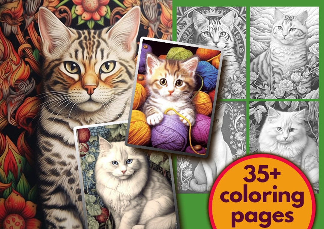 Adorable Cat in Pose Relaxing Coloring Pages Adult or Kids - Etsy