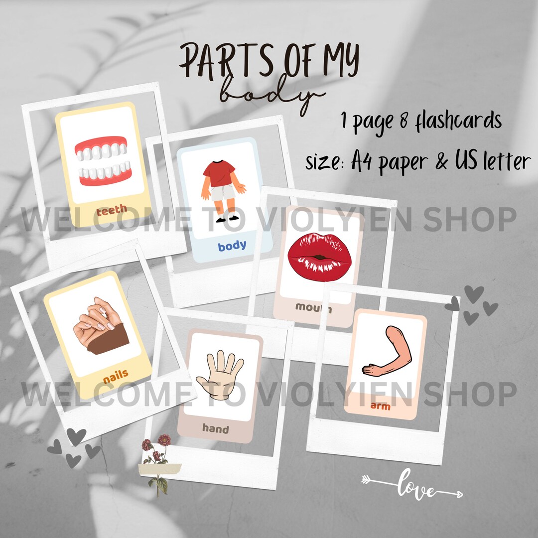 Parts of the Body Flashcards - Etsy