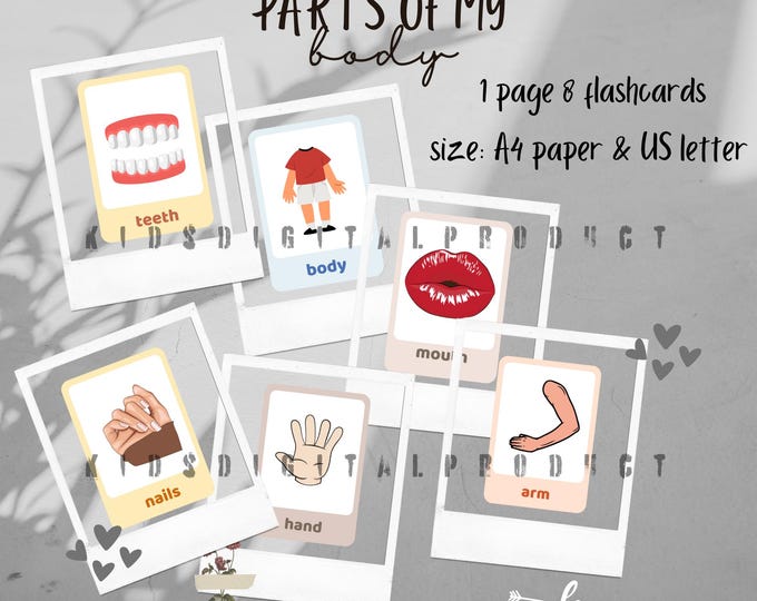 Parts of the Body Flash Cards Instant Download Kids Learning Human ...