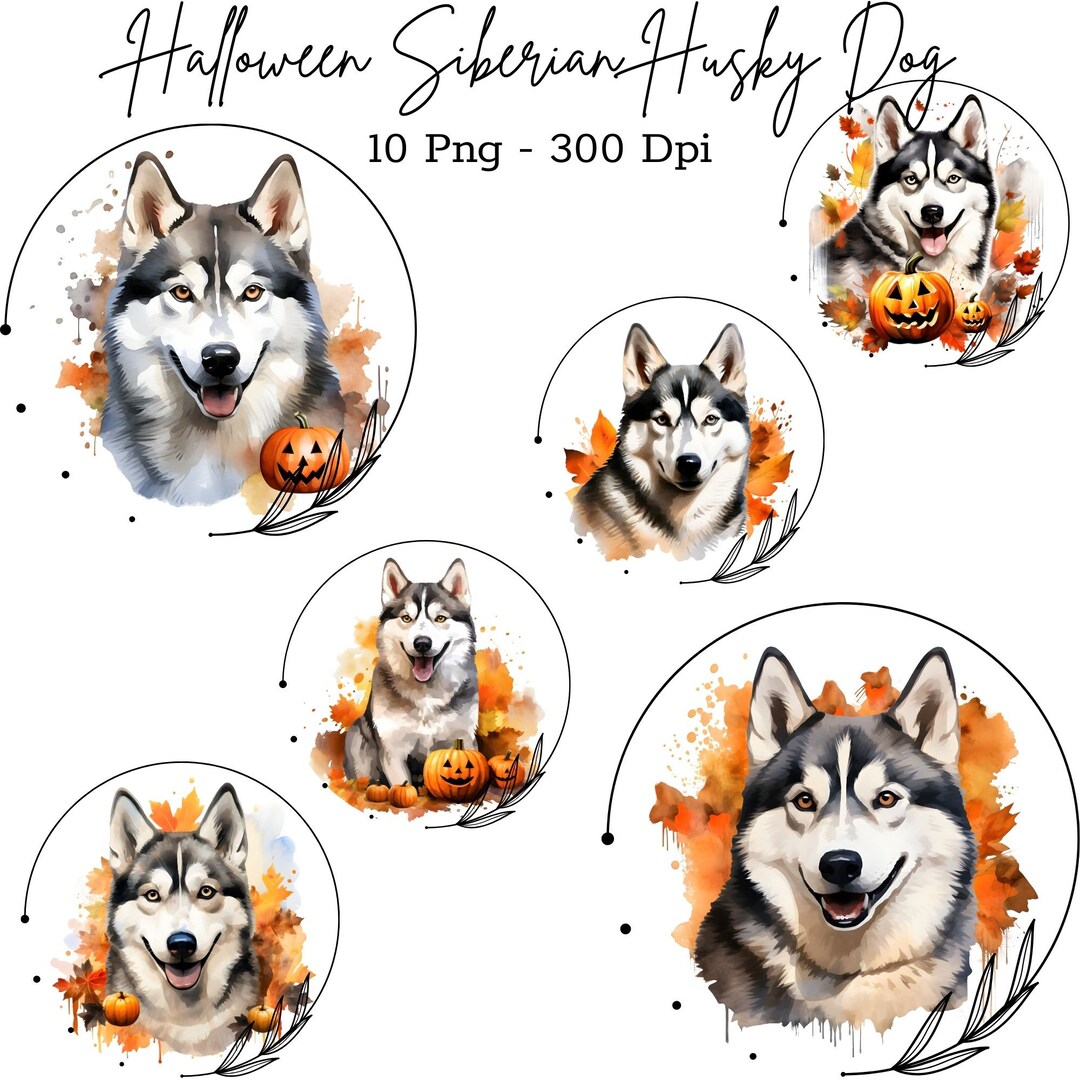 Halloween Siberian Husky Clipart, 10 High Quality Jpgs, Halloween Dog ...