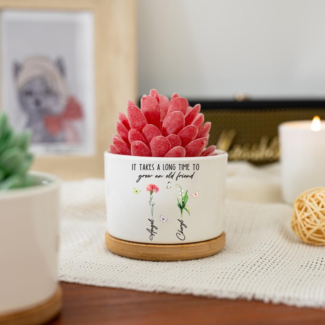 Personalized Friendship Ceramic Plant Pot,it Takes A Long Time to Grow ...