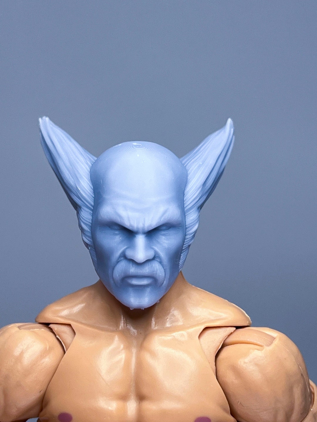 1/12 3D Printed Head Sculpt Hachi - Etsy
