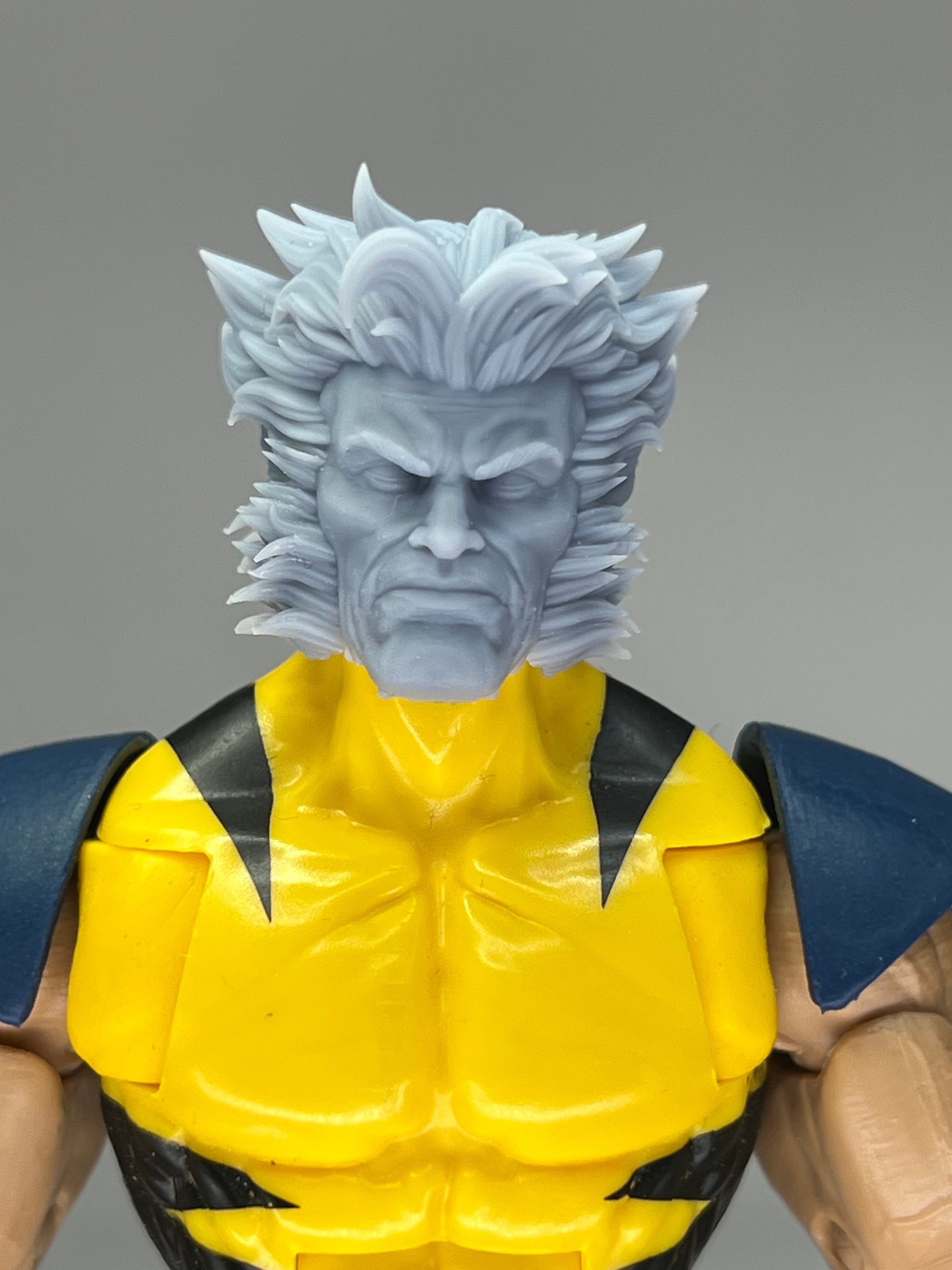 1/12 Scale Bespoke Sculpted Head – Masked & Unmasked Feral Fighter ...