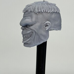 1/12 3D Printed Head Sculpt the Immortal Angry Green Man - Etsy
