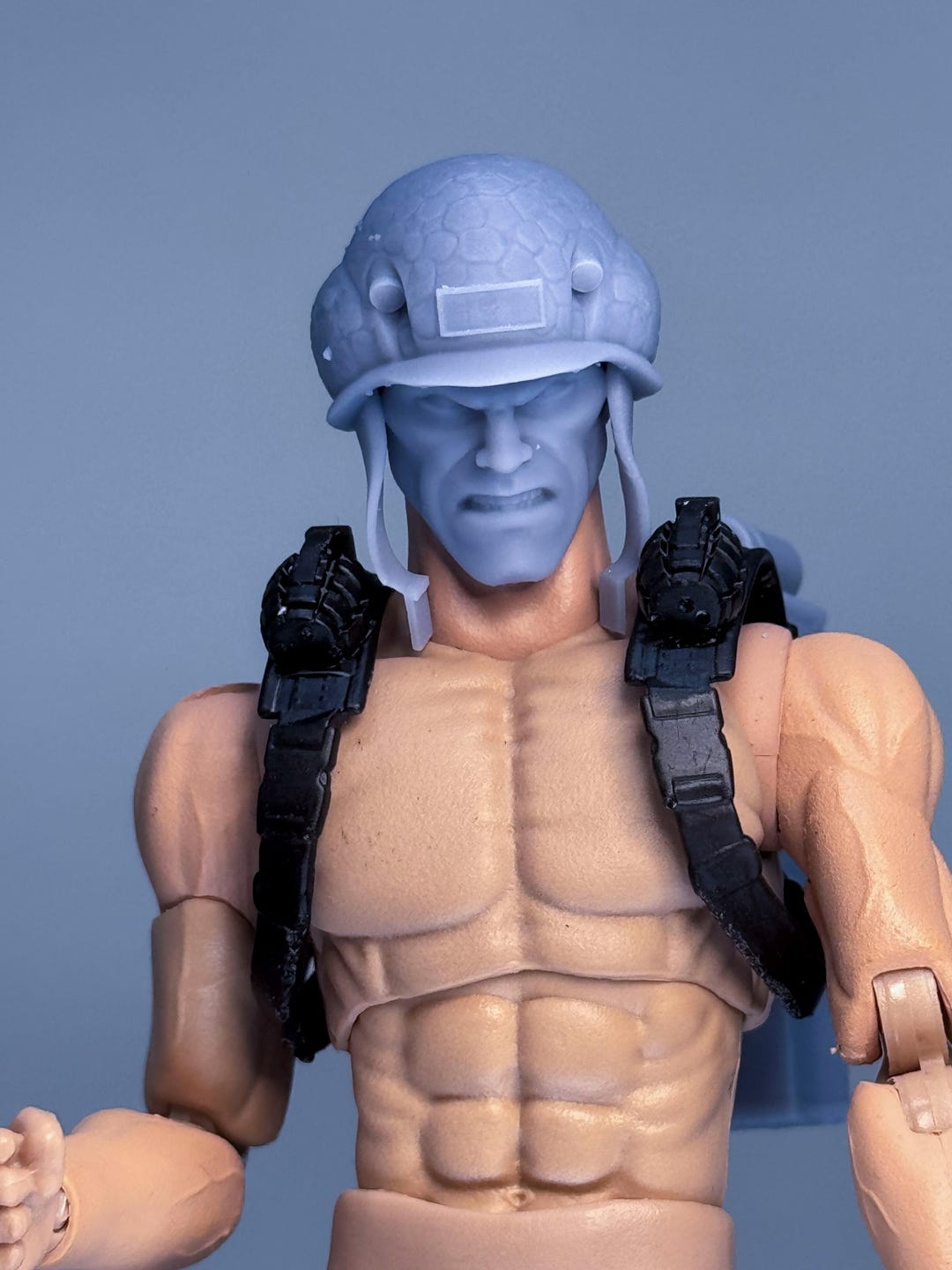 1/12 3D Printed Head Sculpt Blue Skinner Rogue Soldier Troop Kit - Etsy