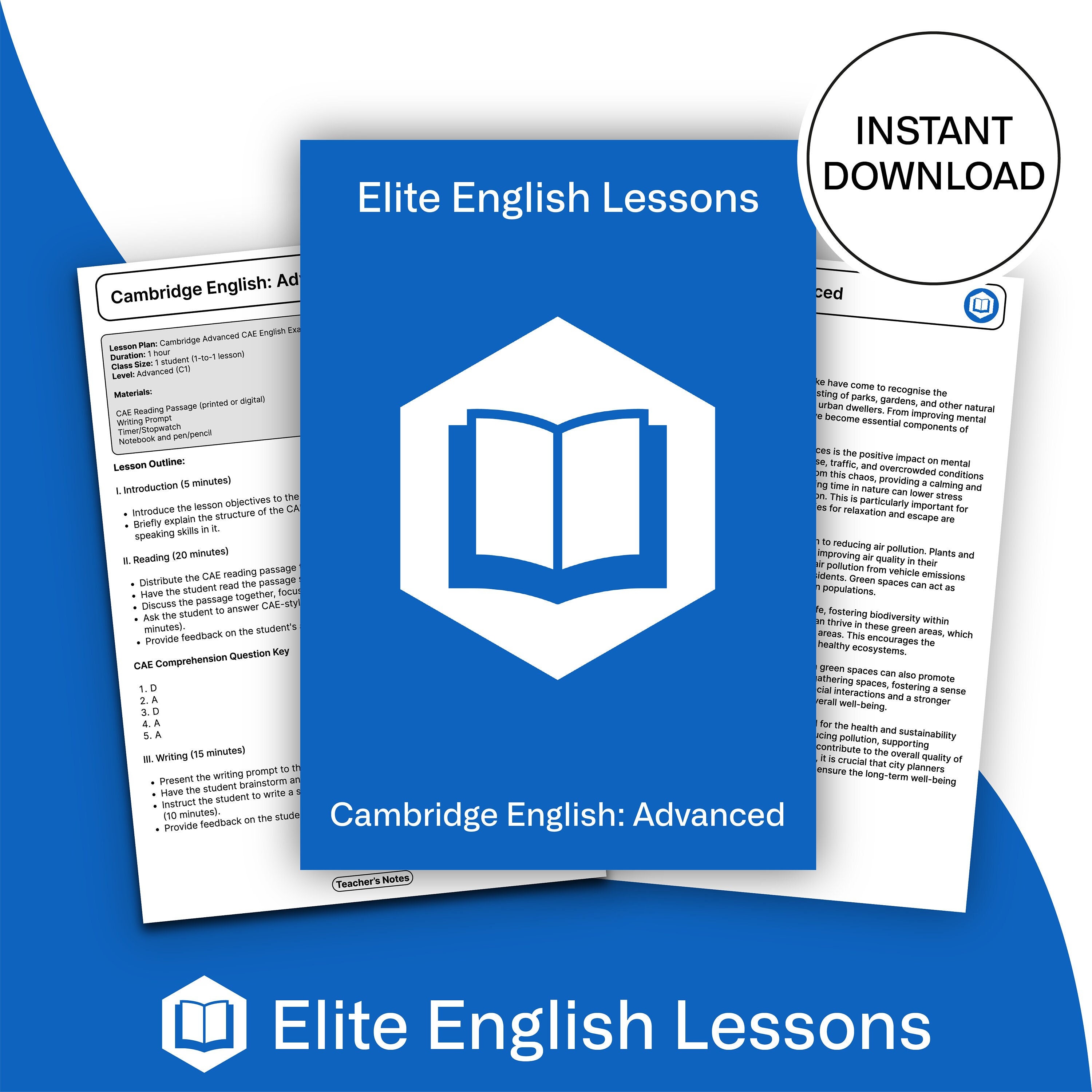 Elite English Lesson Printable PDF CAE Lesson Plan: the Impact of ...