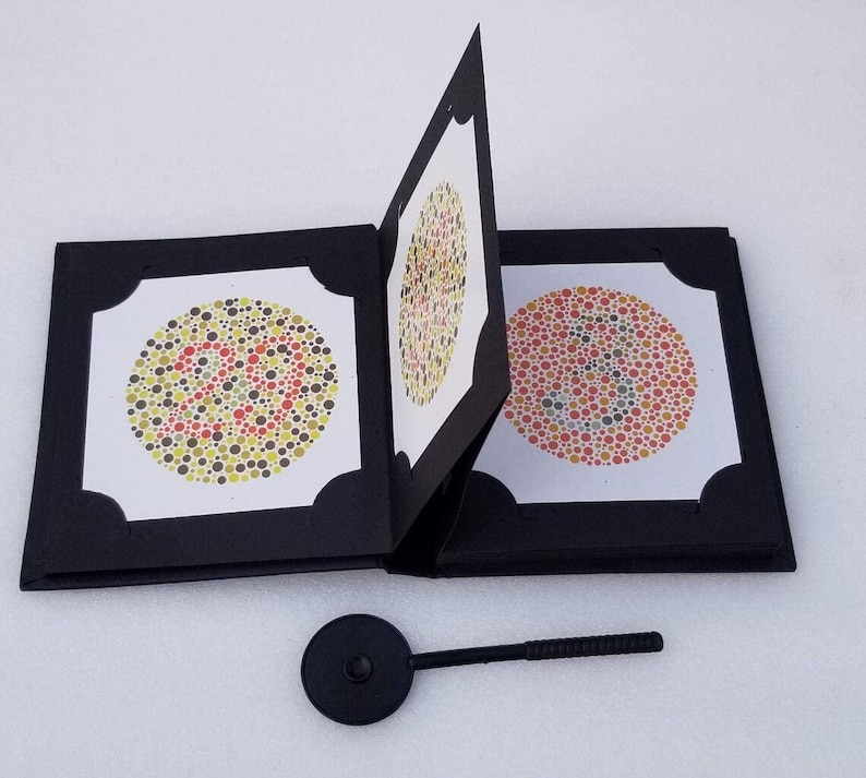 Ishihara Color Vision Test Book: 24 Plates, User Manual & Occluder ...