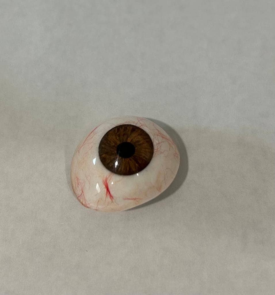 Prosthesis Ocular Artificial Eye Prosthetic Eye Natural Acrylic CHOOSE ...