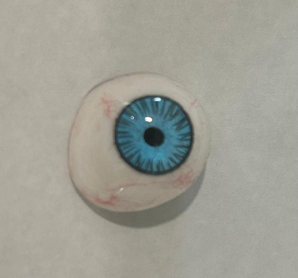 Prosthesis Ocular Artificial Eye Prosthetic Eye Natural Acrylic CHOOSE ...