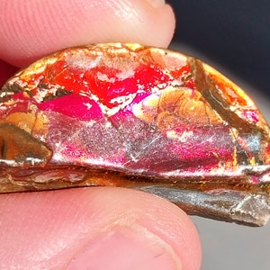 Canadian Natural Flashy Red and Pink Ammolite Specimen! Ammolite Slice ...