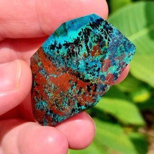 Pretty and Vibrant Phoenix Freeform. Phoenix Freeform. Crystal Freeform ...