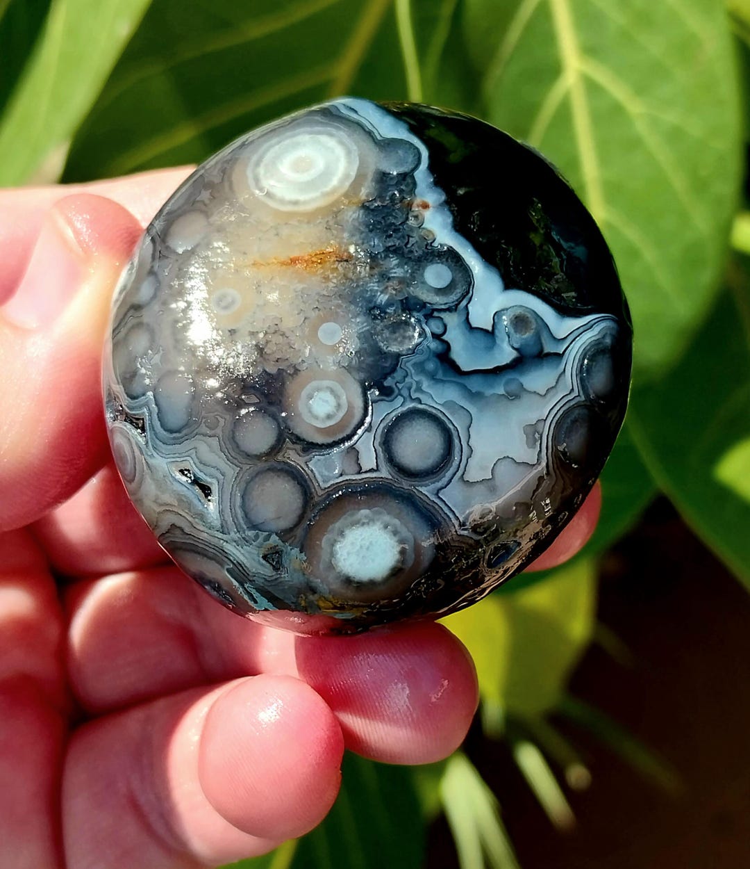 Large Pretty Black Gobi Eye Agate Palmstone Gobi Eye Agate Stone ...