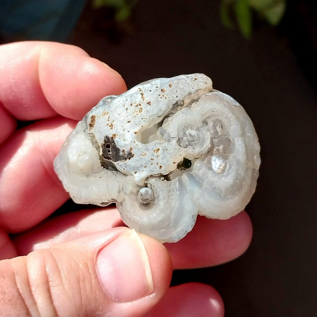 Beautiful Gobi Desert Agate Flower! Gobi Eye Agate. Natural Gobi Agate ...