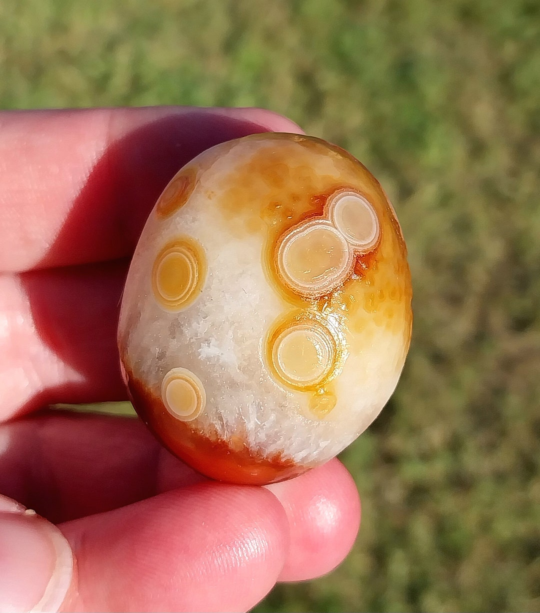 Pretty Gobi Eye Agate Palmstone Gobi Eye Agate Stone. Colorful Gobi Eye ...