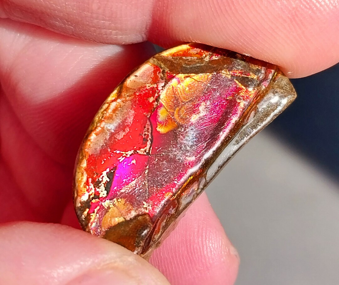 Canadian Natural Flashy Red and Pink Ammolite Specimen! Ammolite Slice ...