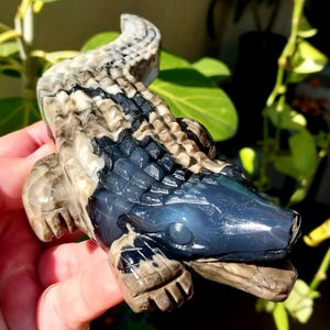 Amazing Volcano Agate Gator Agate Alligator. Volcano Agate Crocodile ...