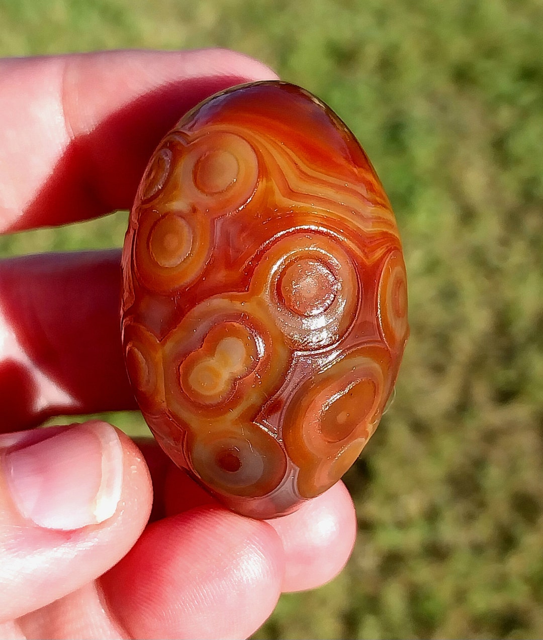 Pretty Gobi Eye Agate Palmstone Gobi Eye Agate Stone. Colorful Gobi Eye ...