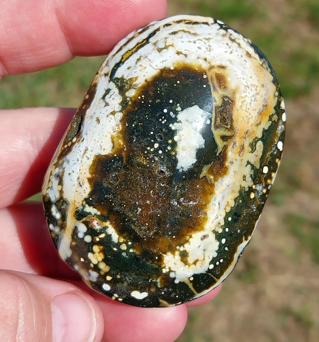 RARE Orbicular 7th Vein Ocean Jasper Palmstone. 7th Vein Jasper. Rare ...