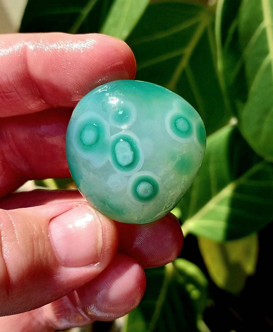 Pretty Green Gobi Eye Agate Palmstone Gobi Eye Agate Stone. Colorful ...