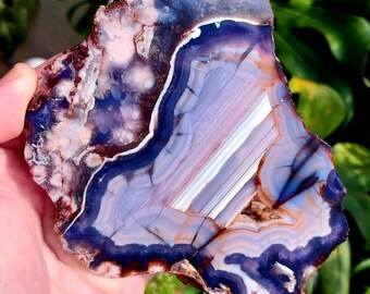 Fantastic Banded Blue Flower Agate Slab Flower Agate Slab. Flower Agate ...