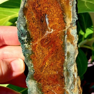 Maury Mountain Oregon Agate Slab! Oregon Agate. Oregon Agate Slab. High ...