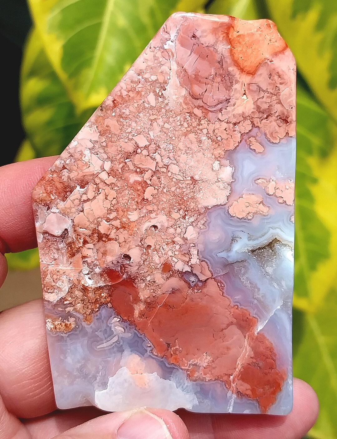 Rare Stunning Cotton Candy Pink Agate Slab. Pink Agate Slab. Pink Agate ...