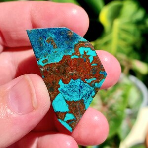 Amazing and Vibrant Phoenix Freeform. Phoenix Freeform. Crystal ...