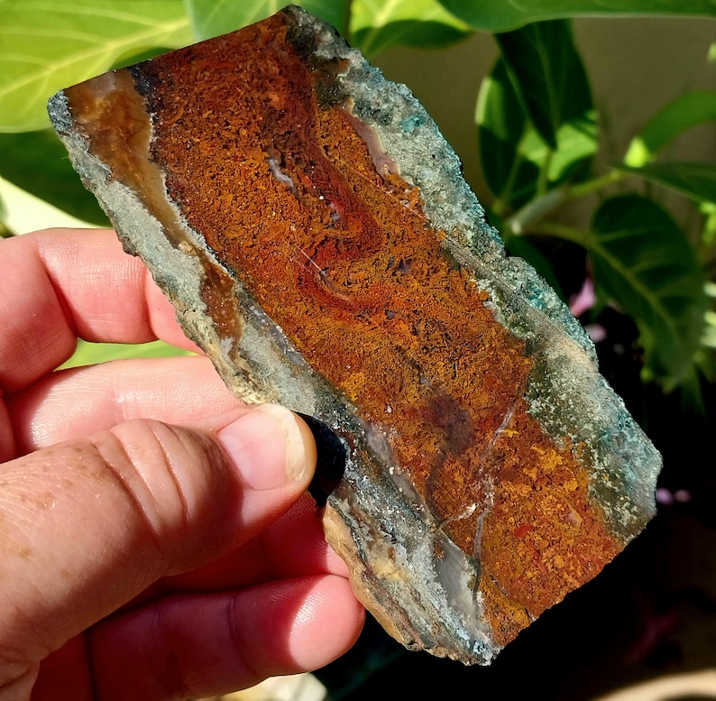Maury Mountain Oregon Agate Slab! Oregon Agate. Oregon Agate Slab. High ...