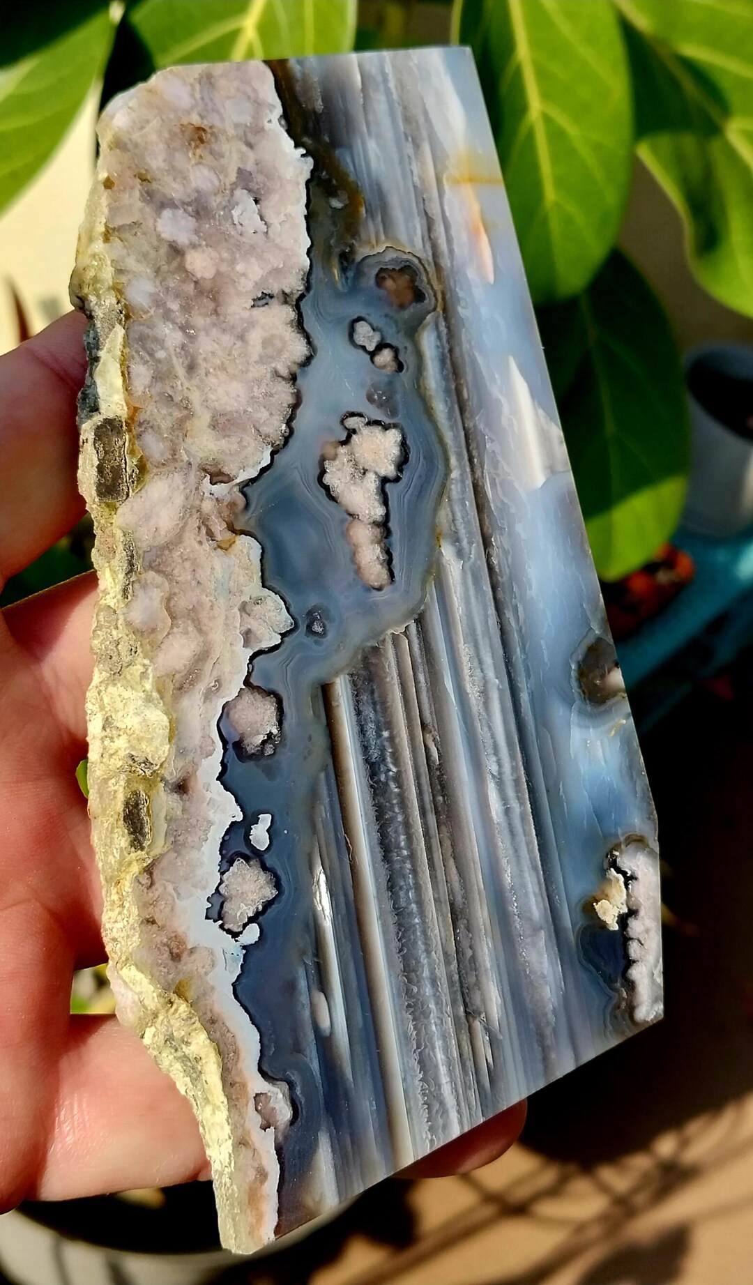 Bodacious Banded Blue Flower Agate Slab! Flower Agate Slab. Flower ...
