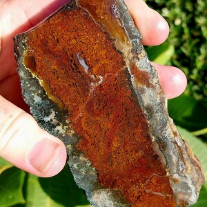 Maury Mountain Oregon Agate Slab! Oregon Agate. Oregon Agate Slab. High ...