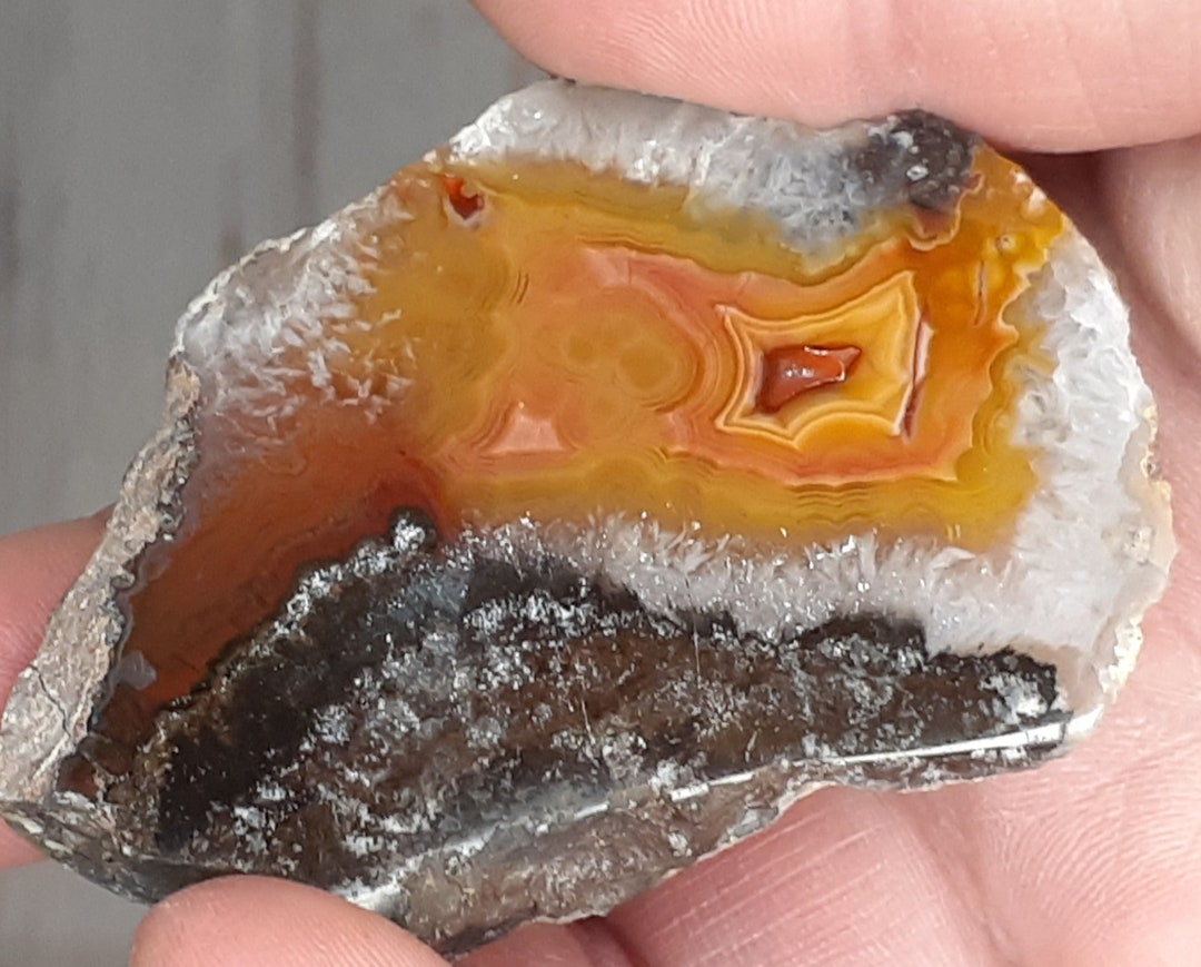 Extremely Rare High Quality Laguna Agate Slice Freeform Laguna Agate ...