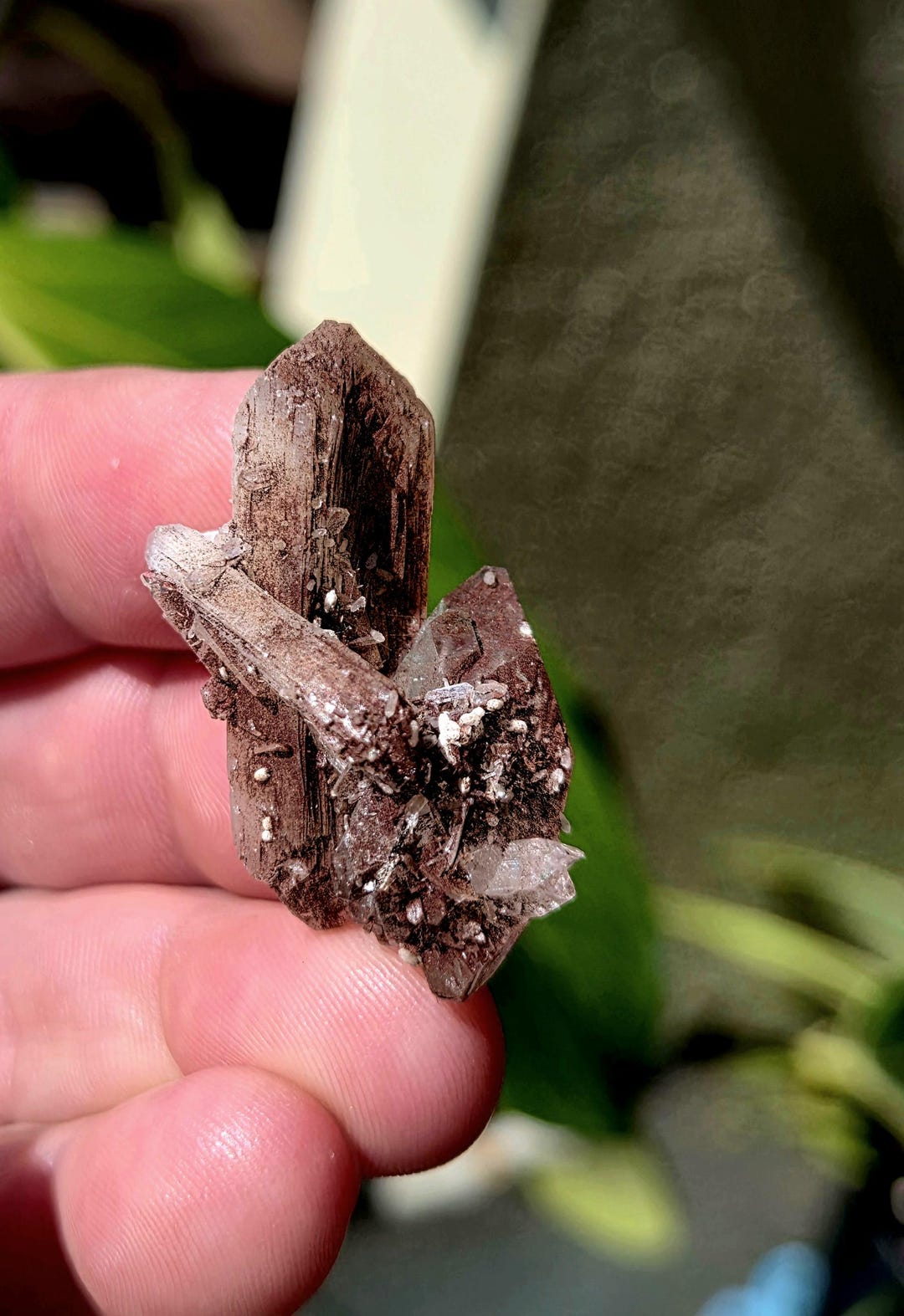 Very Special Chocolate and Clear Apophyllite on Heulandite Specimen ...