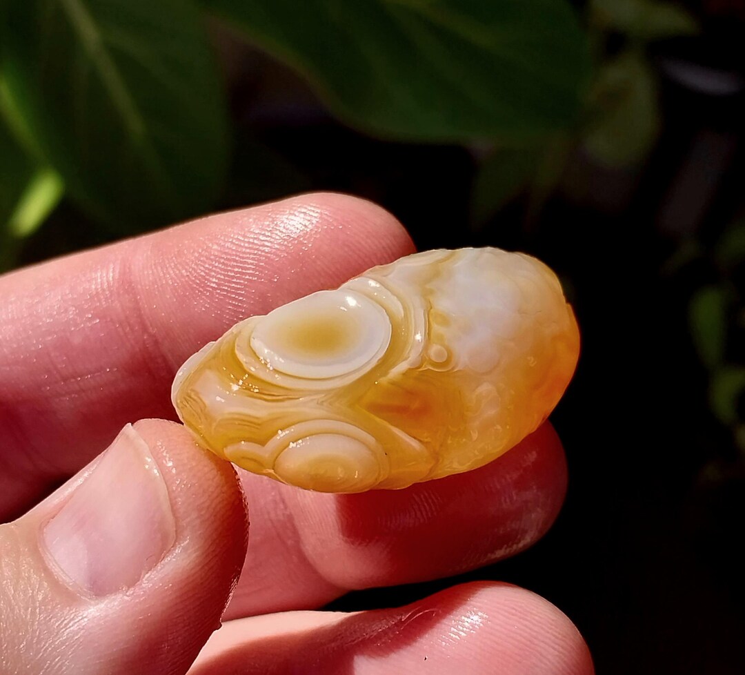 Glorious Gobi Eye Agate Tumble! Gobi Eye Agate Stone. Colorful Gobi Eye ...