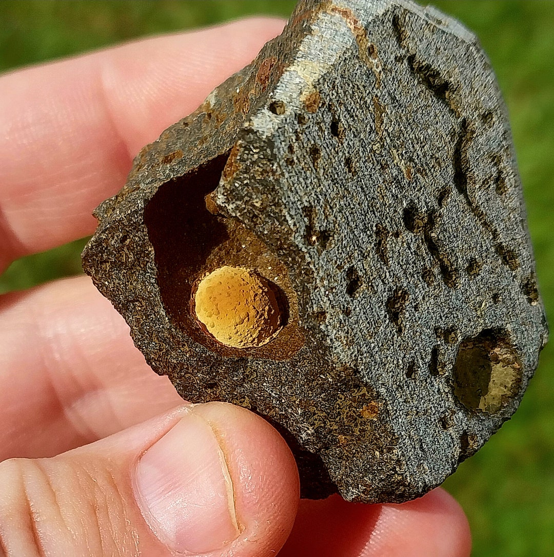 Rare Botroiydal Globular Yellow Calcite in Basalt Matrix! Rare Minerals ...