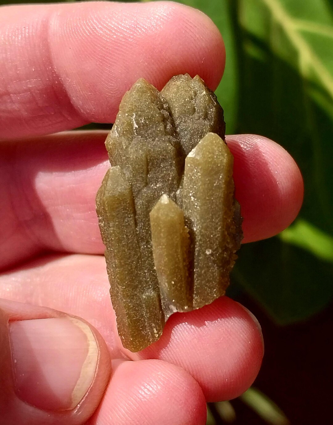 Extremely Rare Green Hedenbergite Prasem Quartz. Hedenbergite Quartz Cluster. Green Quartz ...