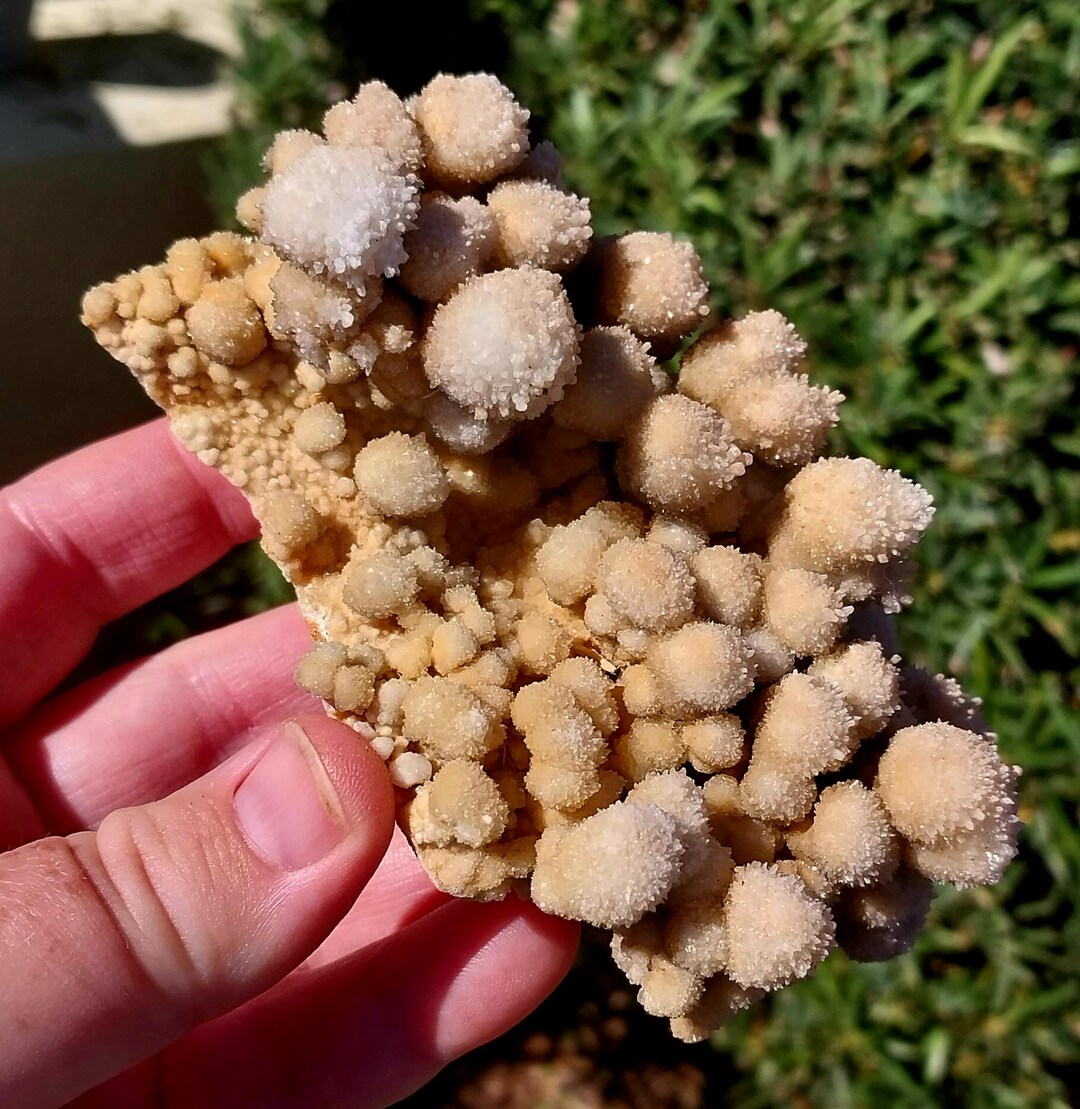 Globular Kokoweef Cave Onyx Flower Stalactite Specimen! Phosphorescent ...