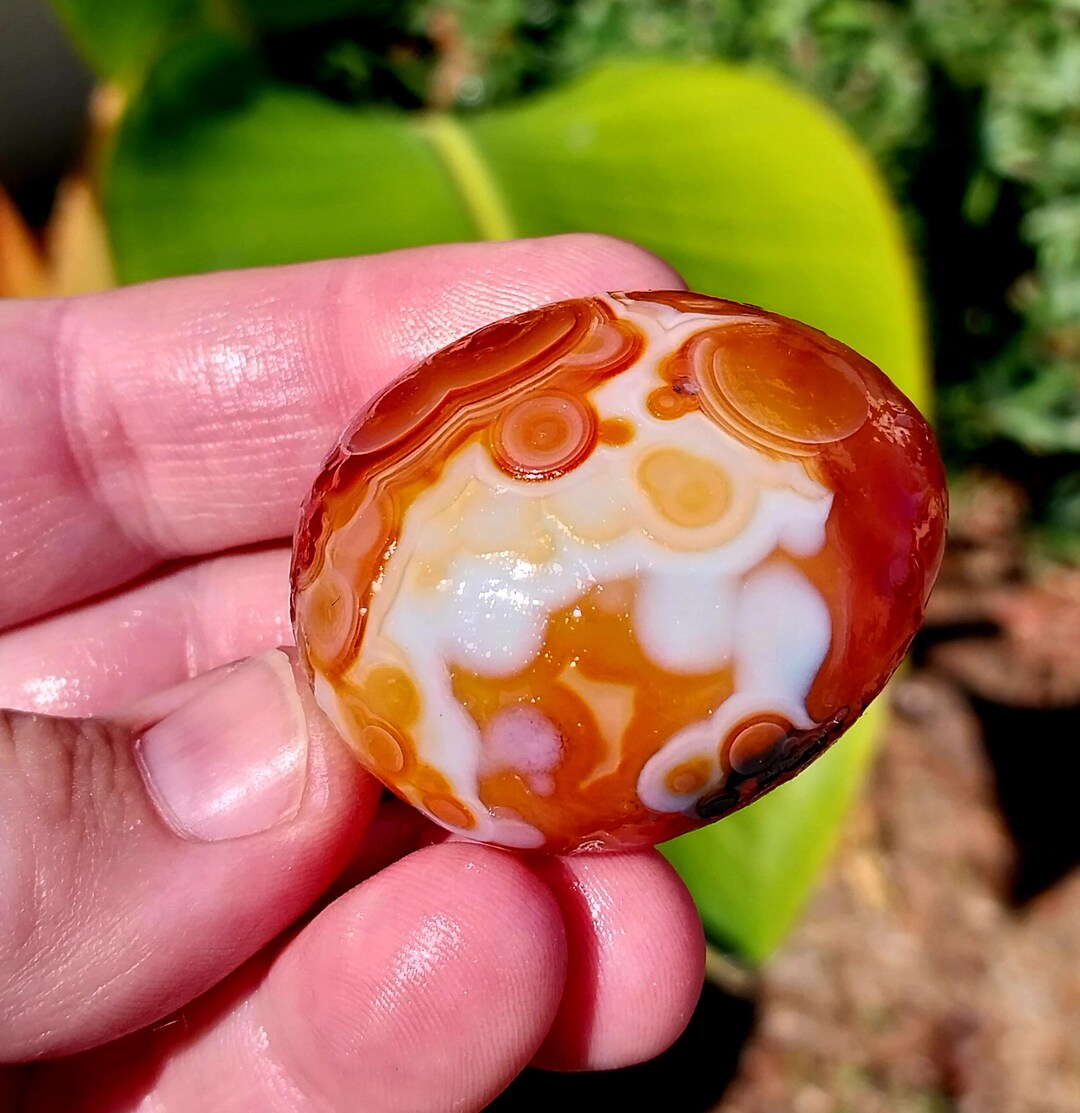 Hot Red Gobi Eye Agate Palmstone! Gobi Eye Agate Stone. Colorful Gobi ...