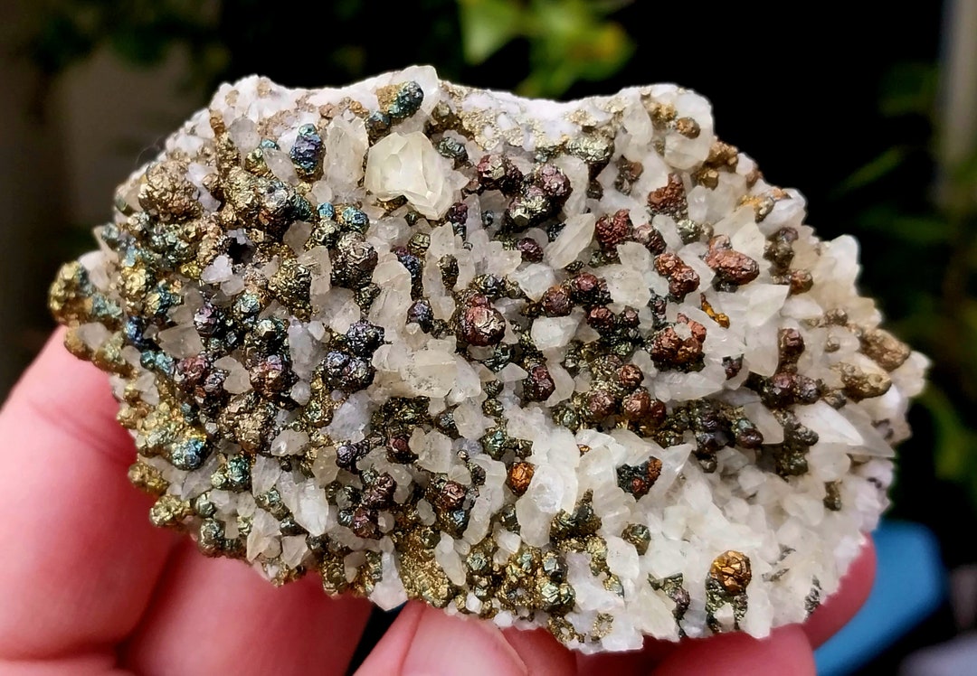 RARE Rainbow Chalcopyrite on Dogtooth Calcite Specimen! Chalcopyrite ...