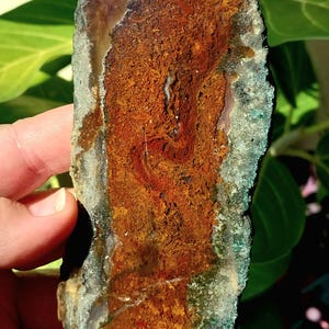 Maury Mountain Oregon Agate Slab! Oregon Agate. Oregon Agate Slab. High ...