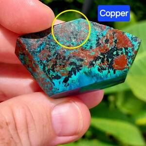 Pretty and Vibrant Phoenix Freeform. Phoenix Freeform. Crystal Freeform ...