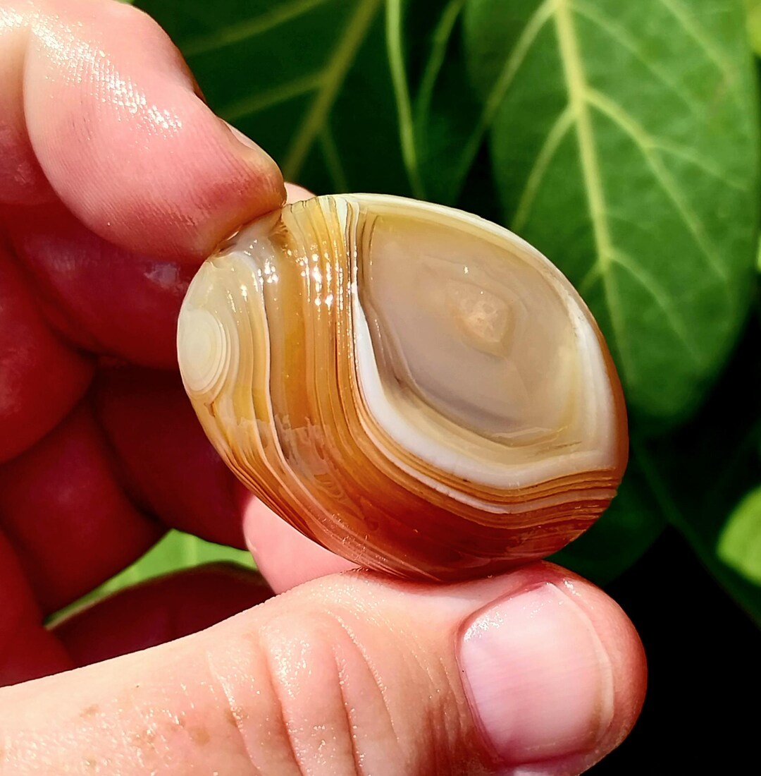 Fantastic Gobi Eye Agate Palmstone! Gobi Eye Agate Stone. Colorful Gobi ...