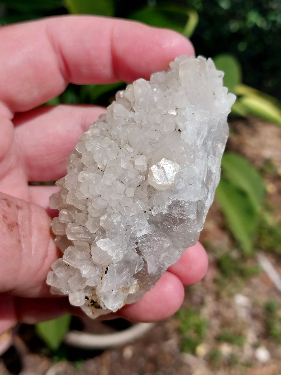 Extremely RARE Clear Columnar Calcite on Mint Green Fluorite Specimen ...
