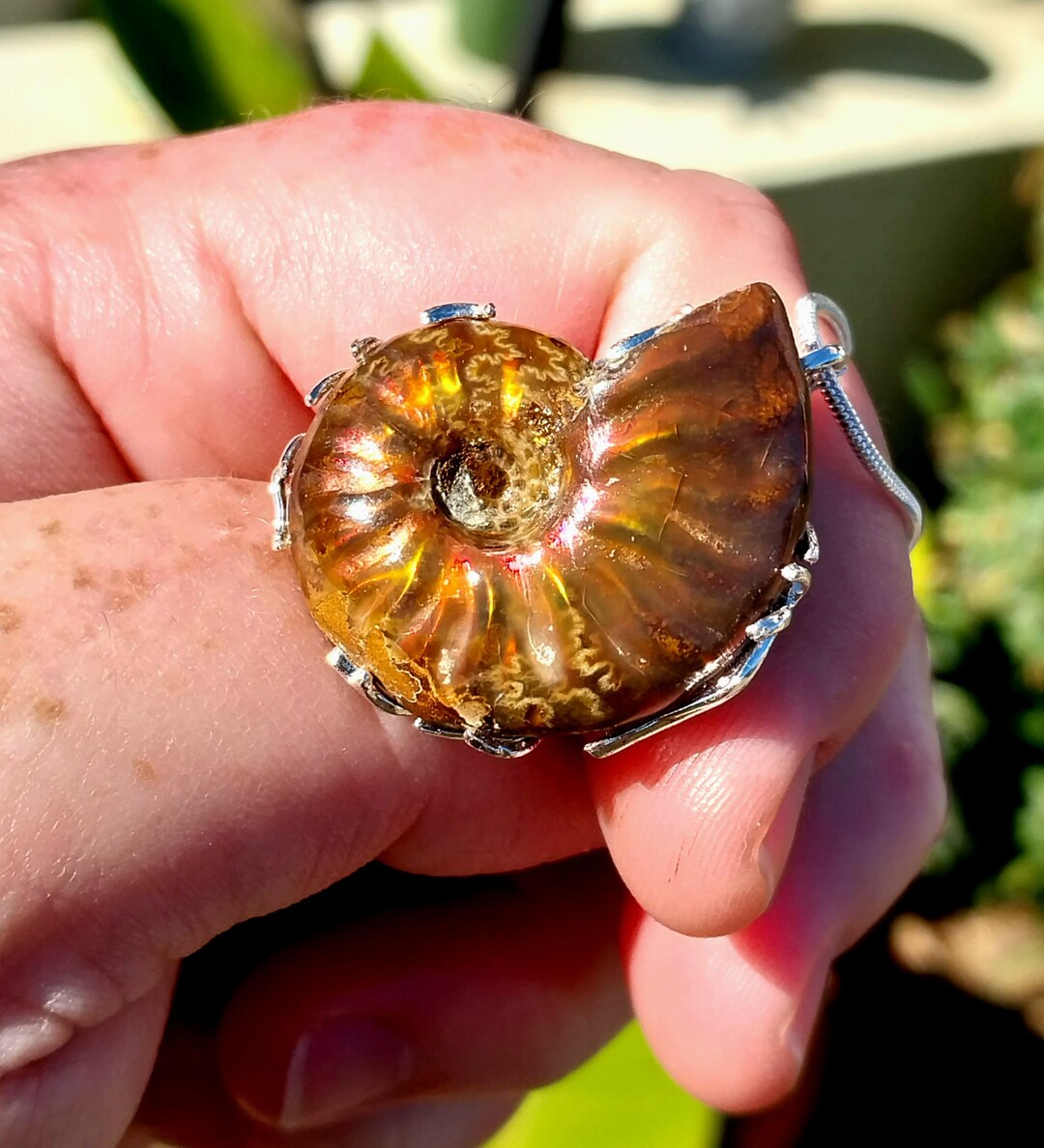 Ammonite Fossil Shell Tree of Life Pendant and S925 Necklace! Fossil ...