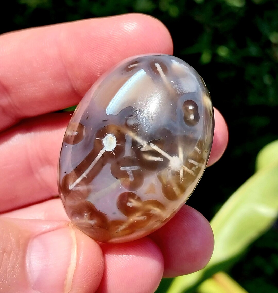 Rare and Beautiful Red Sashe River Agate Palmstone Banded Agate. Agate ...
