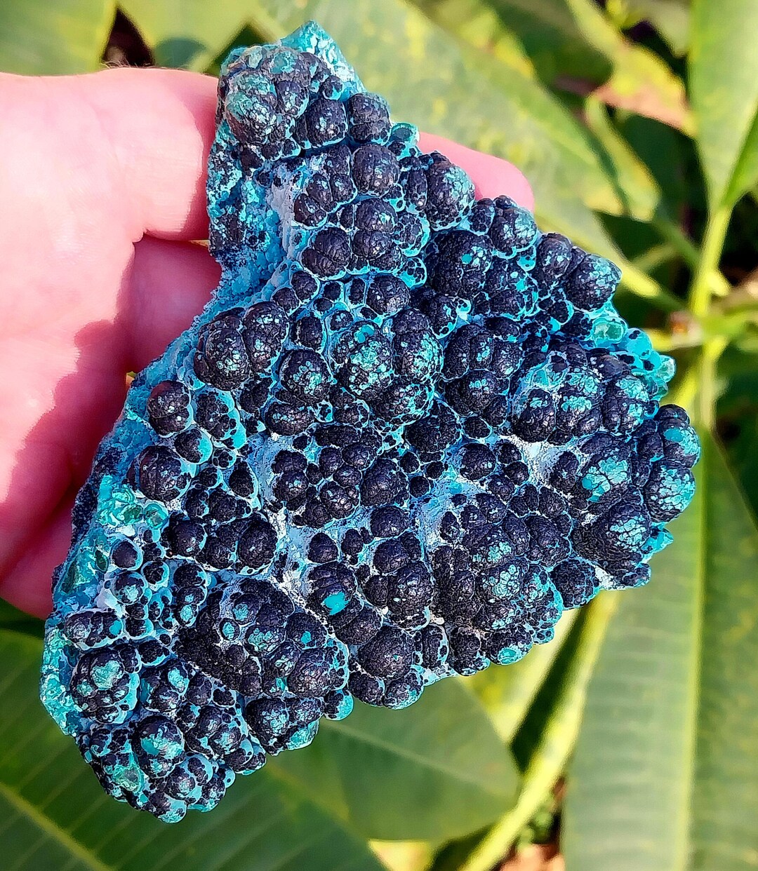 Large Vibrant Blue Chrysocolla Specimen. Electric Blue Chrysocolla ...